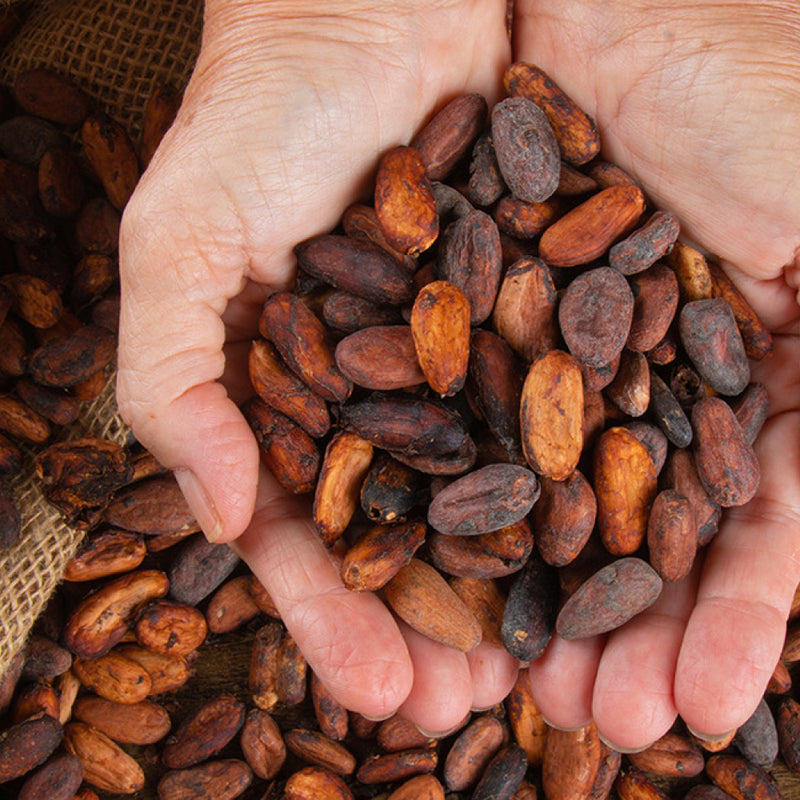 Guylian Chocolate Seashells | Buy bulk Guylian chocolate online